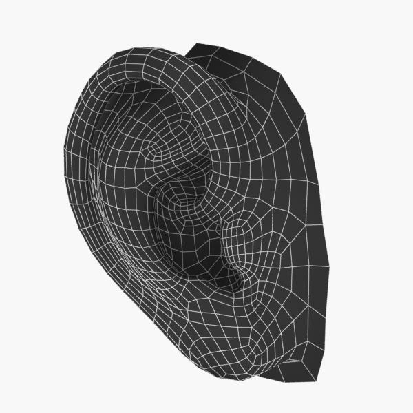 3d model ear
