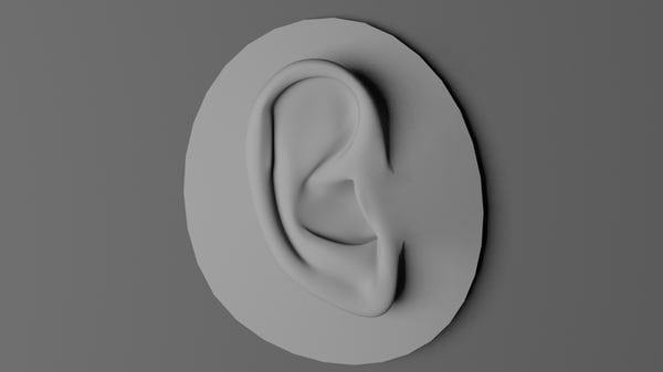 Free 3D Ears Models | TurboSquid