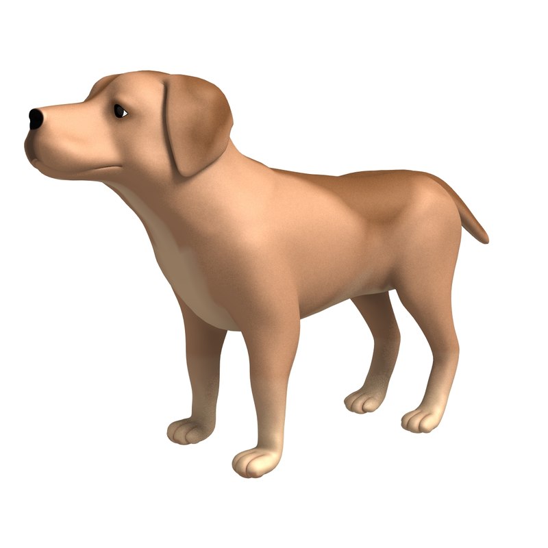 3ds max dog