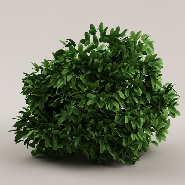 3d model bush