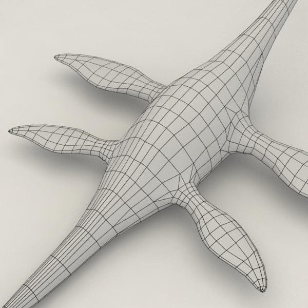 3d plesiosaurus rigged model