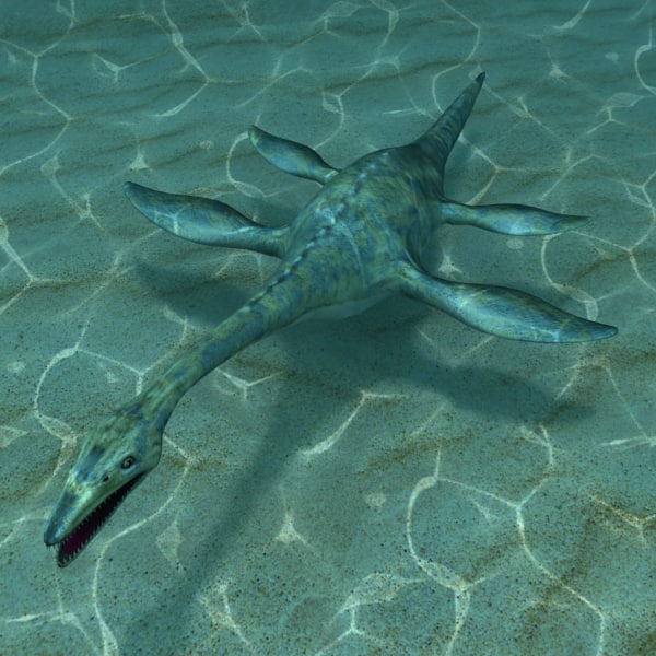 3d plesiosaurus rigged model