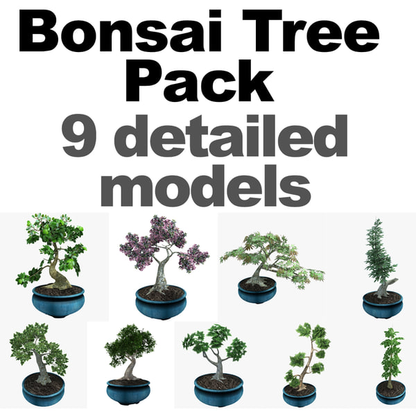 3d model bonsai