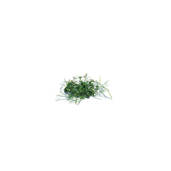 archmodels vol 126 grass 3d model