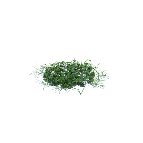 archmodels vol 126 grass 3d model