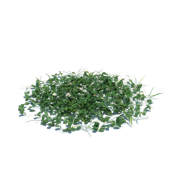 archmodels vol 126 grass 3d model