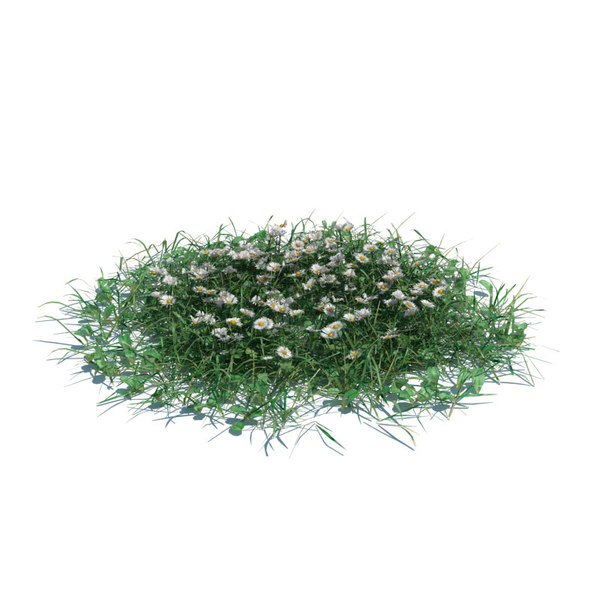 archmodels vol 126 grass 3d model