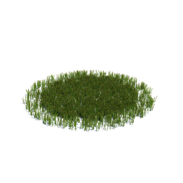 archmodels vol 126 grass 3d model