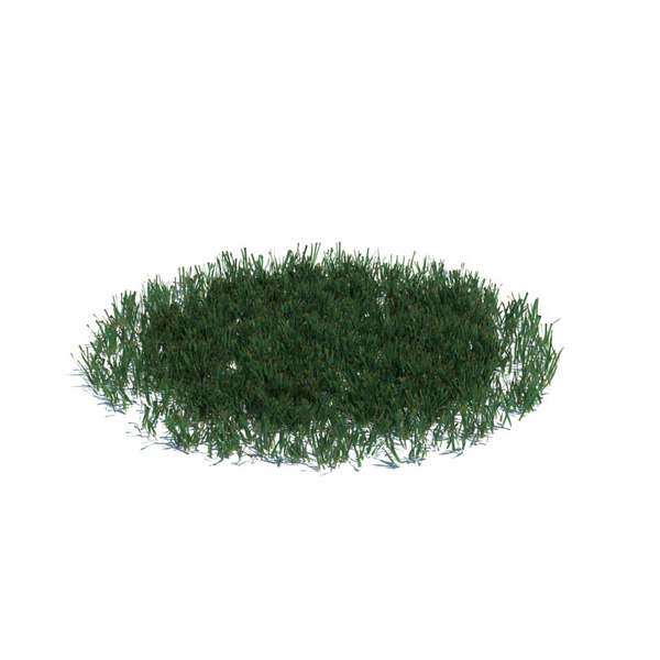 archmodels vol 126 grass 3d model