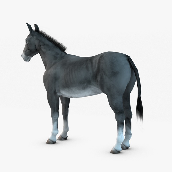 max donkey realistic
