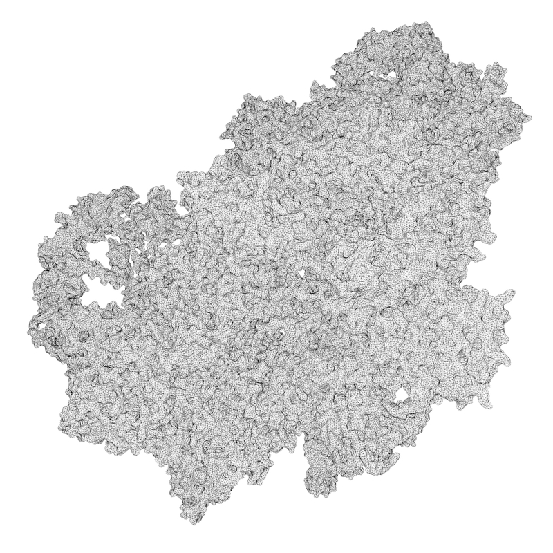 structure bacterial ribosome 3d model