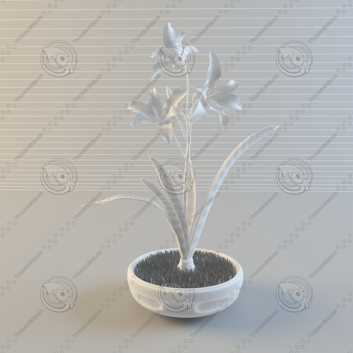 3d model lily flower
