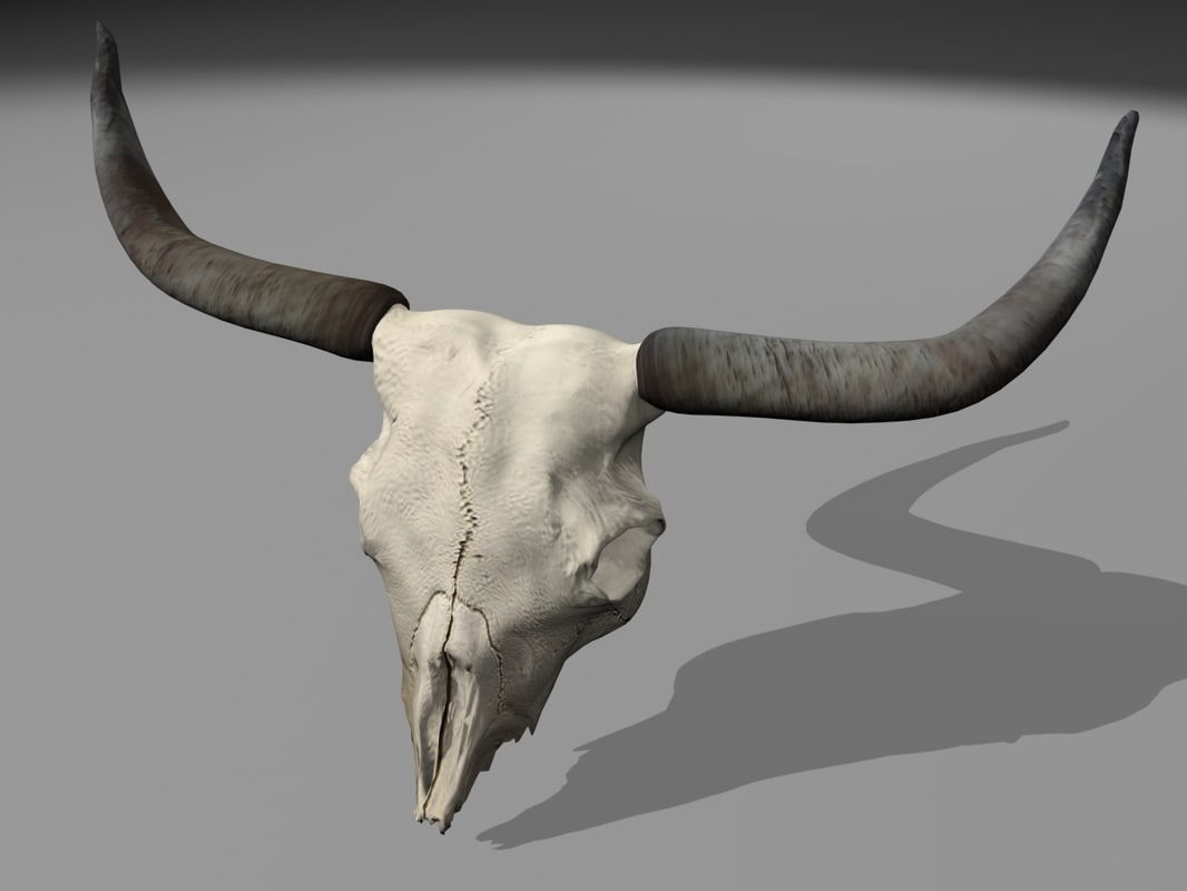 longhorn horn 3d model