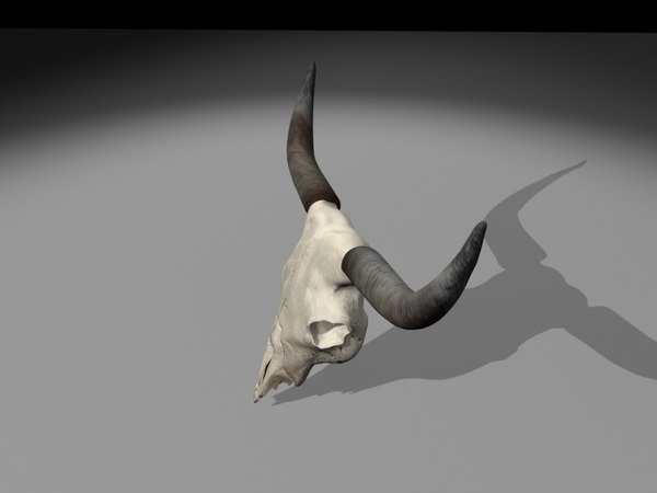 longhorn horn 3d model