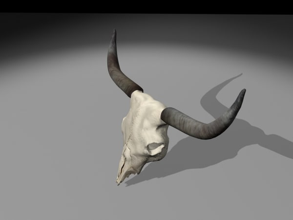 longhorn horn 3d model