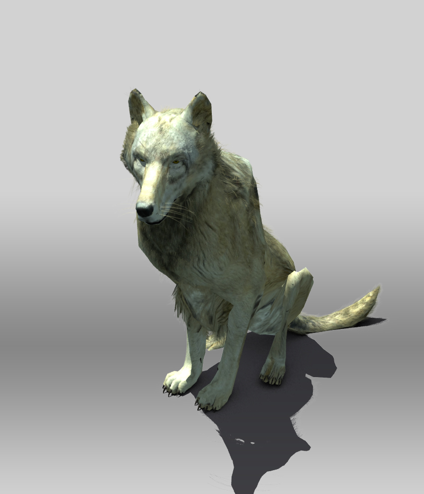 timber wolf 3d model