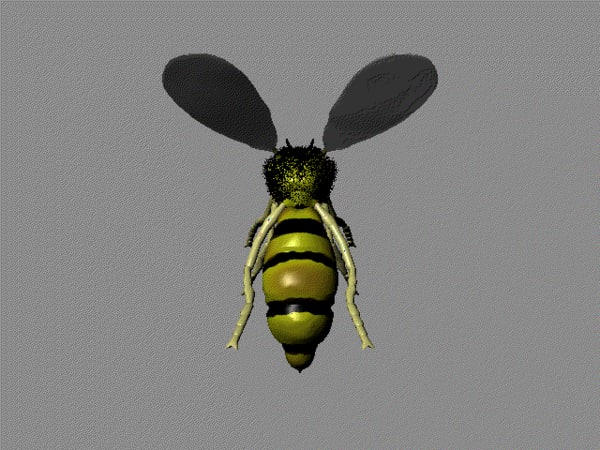 modèle 3D de Guêpe gratuit - TurboSquid 719041