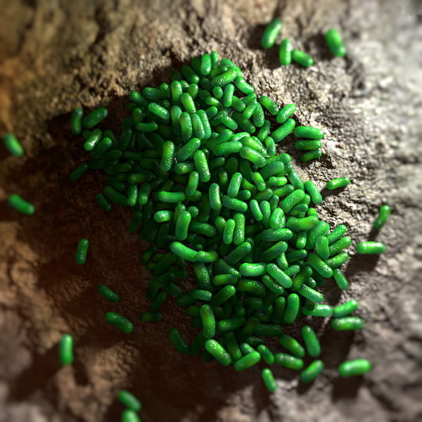 extremely fibroblast obj