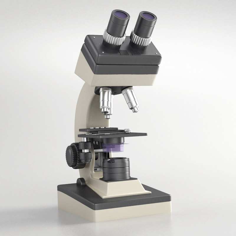 microscope 3d model
