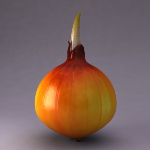 3d model onion