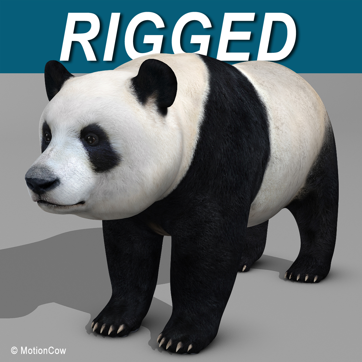 realistic panda 3d model