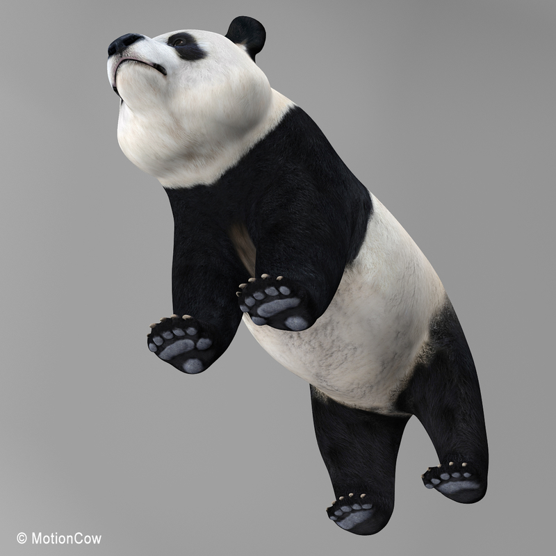 realistic panda 3d model