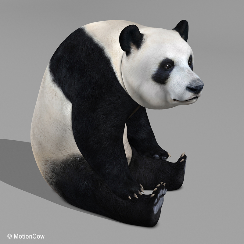 realistic panda 3d model