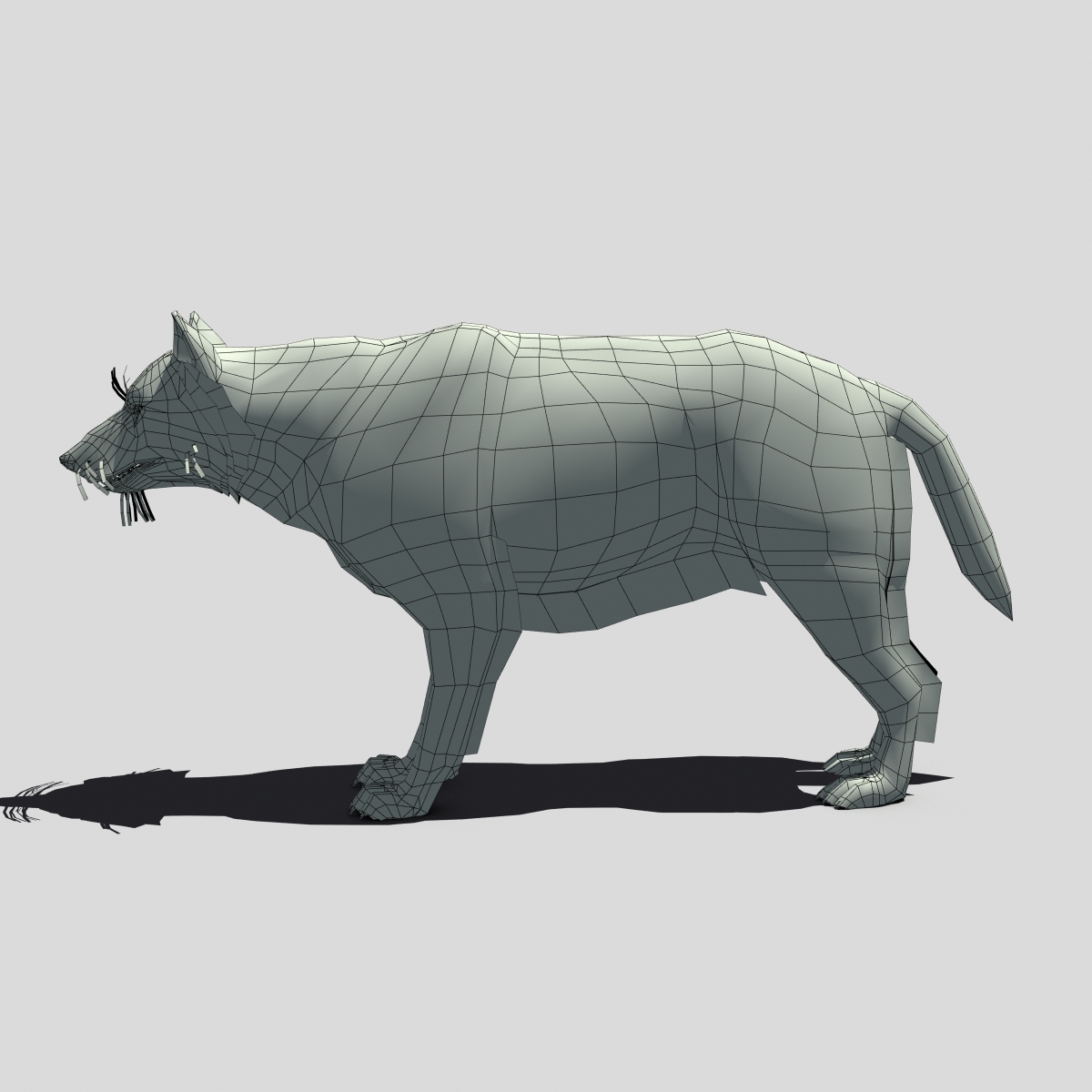 timber wolf 3d model