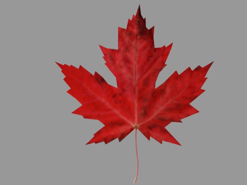 maple leaf 3d 3ds