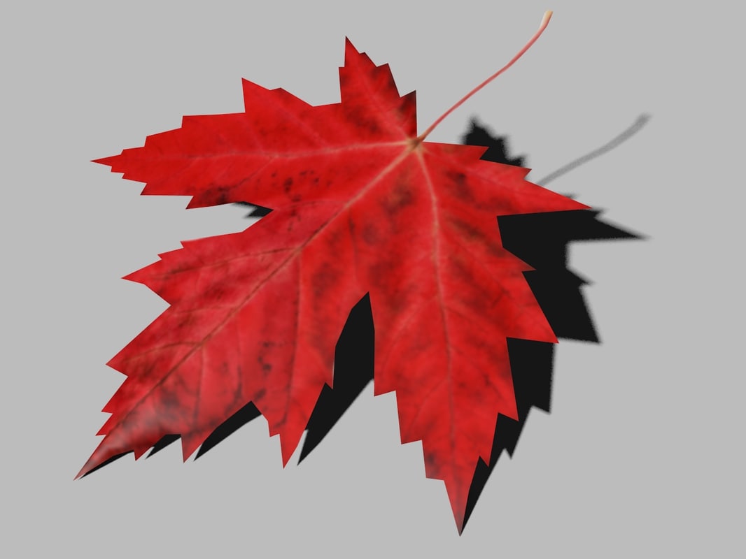 maple leaf 3d 3ds