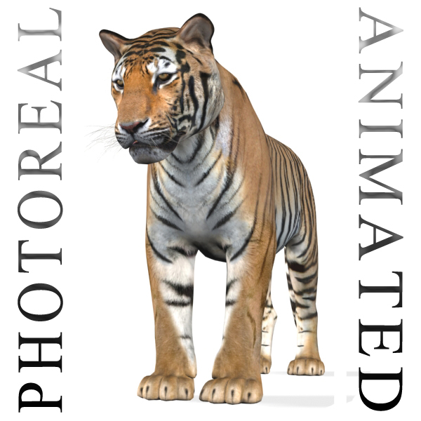 Free 3D Cgi Models | TurboSquid