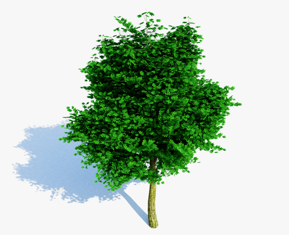3d tree materials leaves model