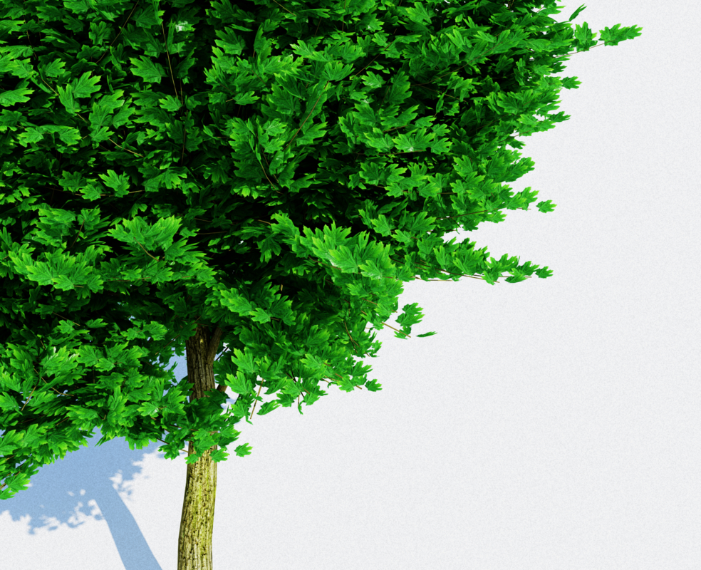 3d tree materials leaves model