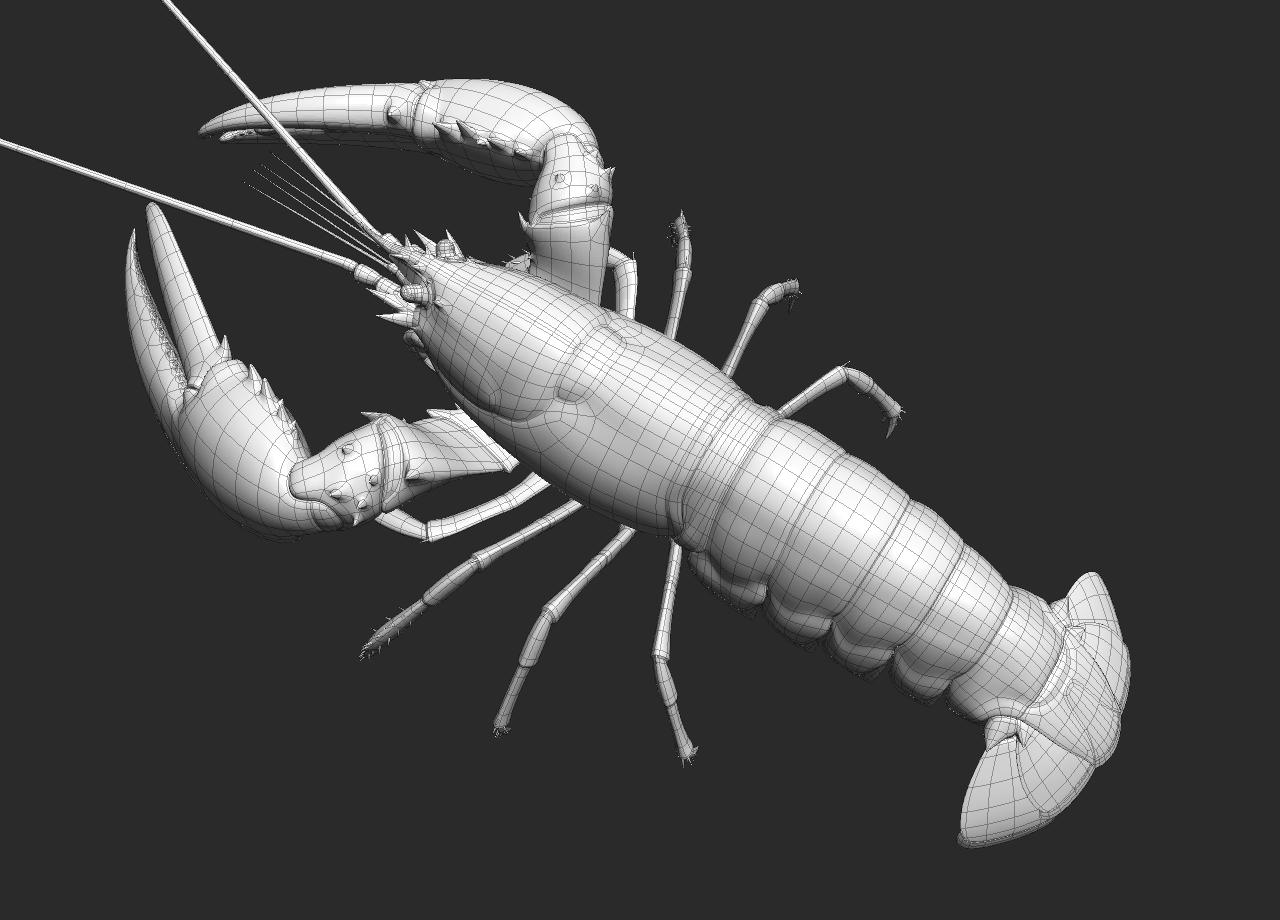 3d model lobster