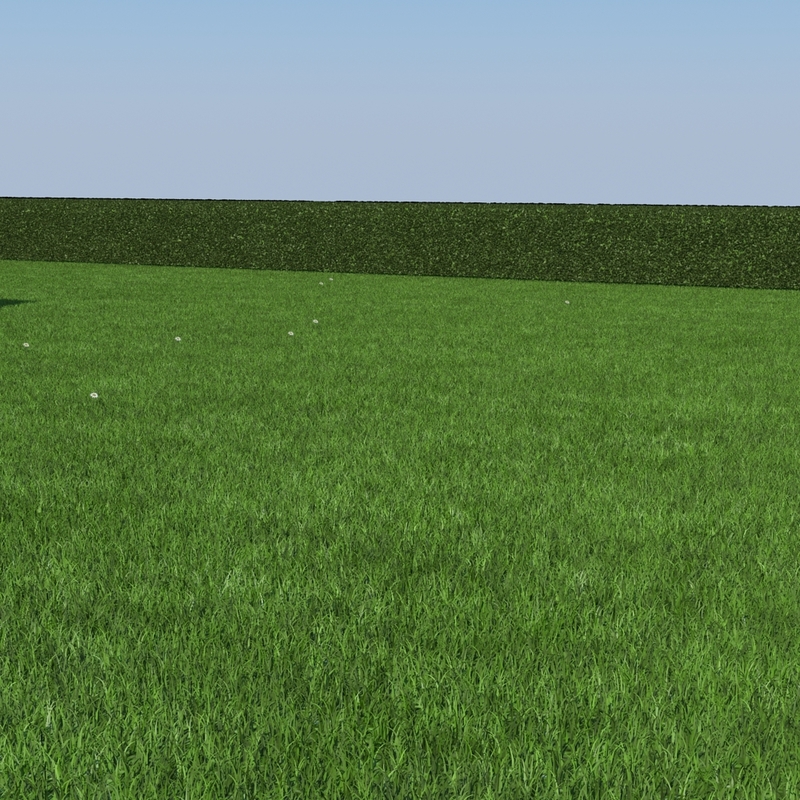 3ds max house grass modelled