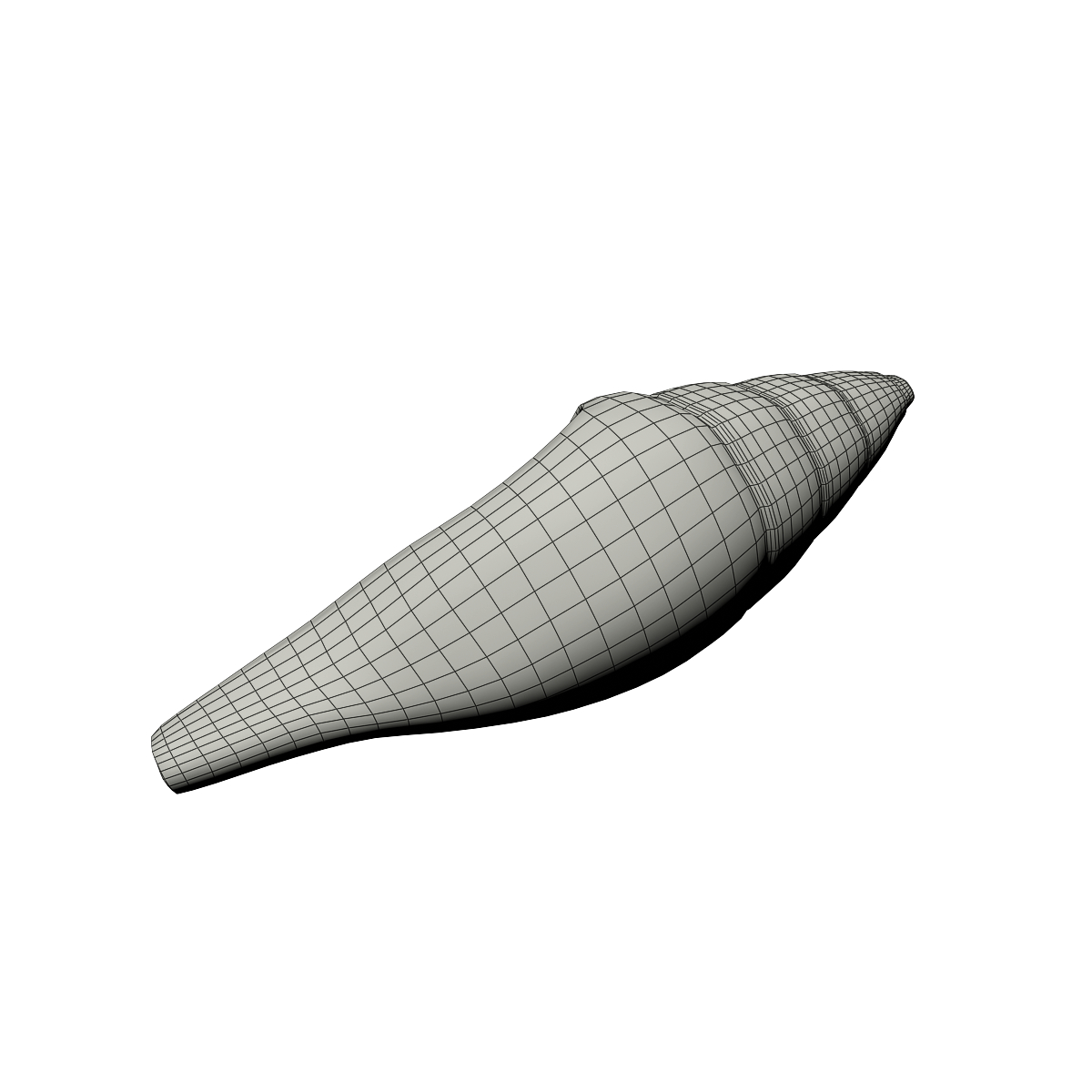 3d beach sea shell model