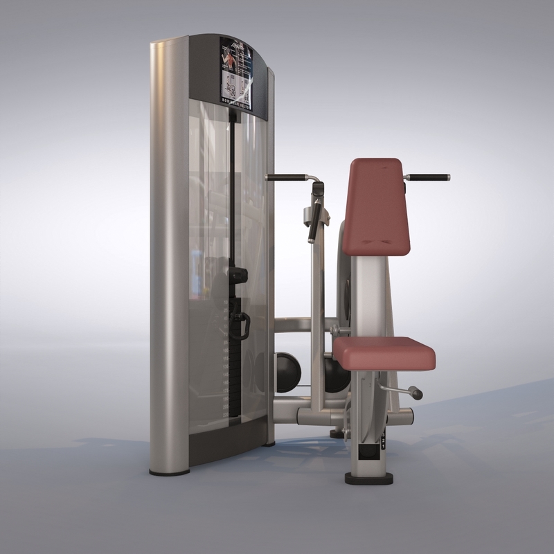 rear deltoid row machine max