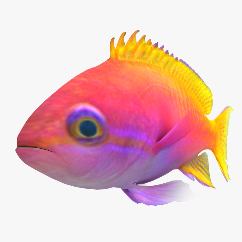3ds max fish aquarium
