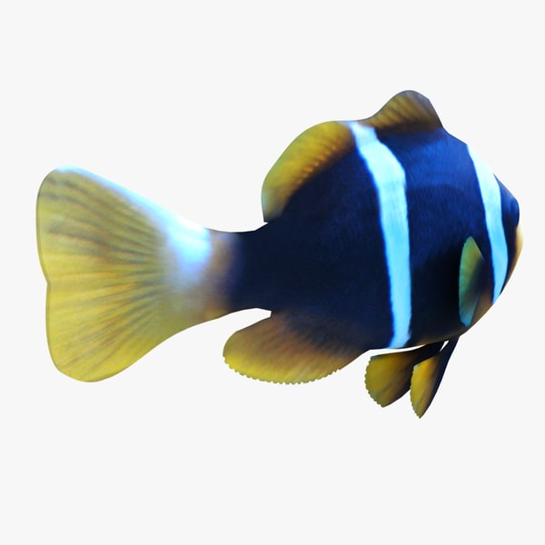 3ds max fish aquarium