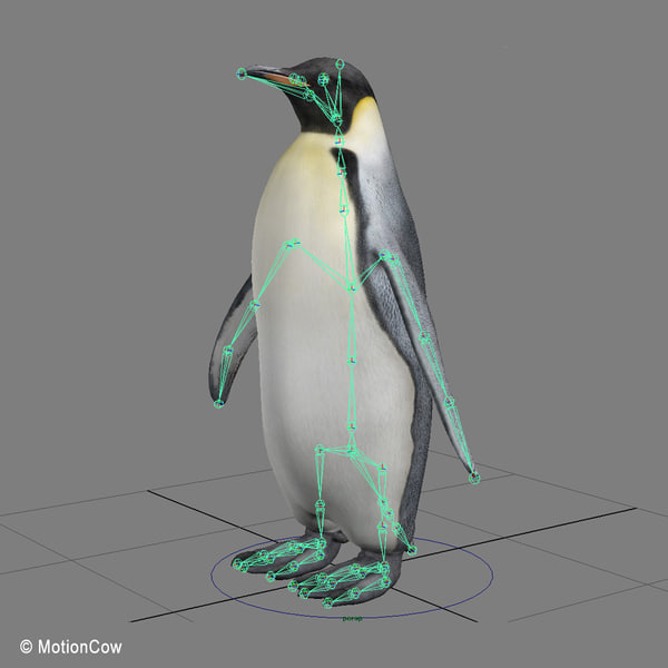 3d emperor penguin model