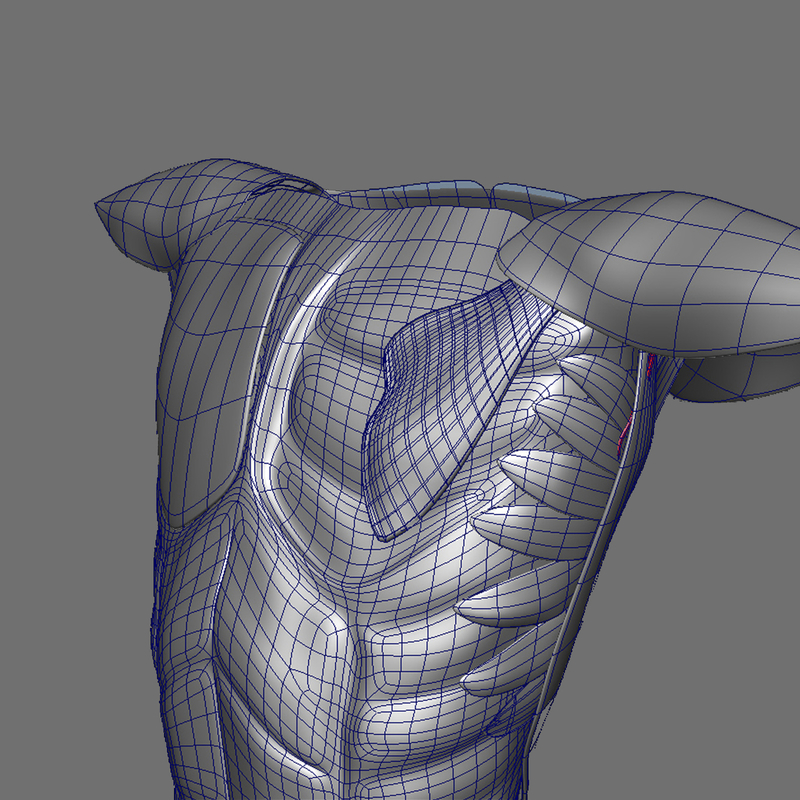 modelo 3d Torso femenino - TurboSquid 725243