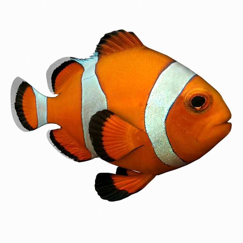 3ds max fish aquarium