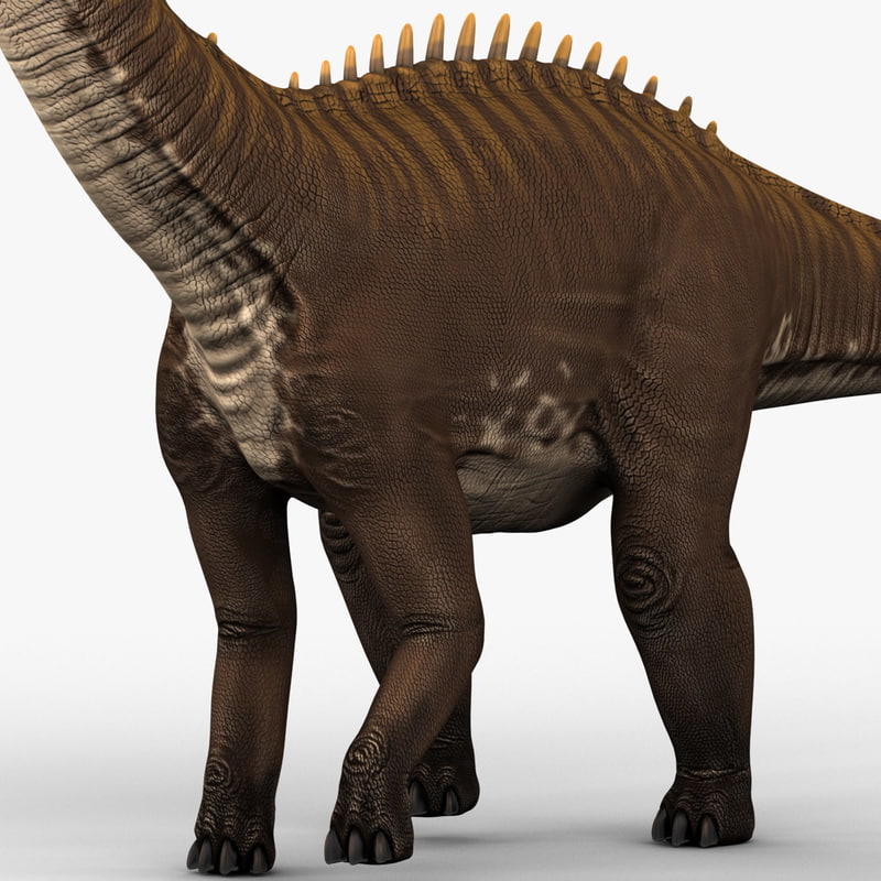 diplodocus pose 1 max