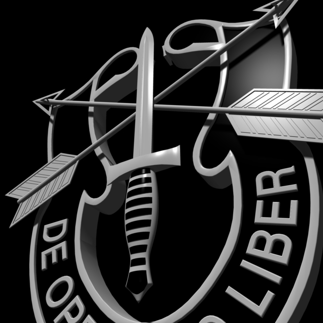 3d special forces insignia