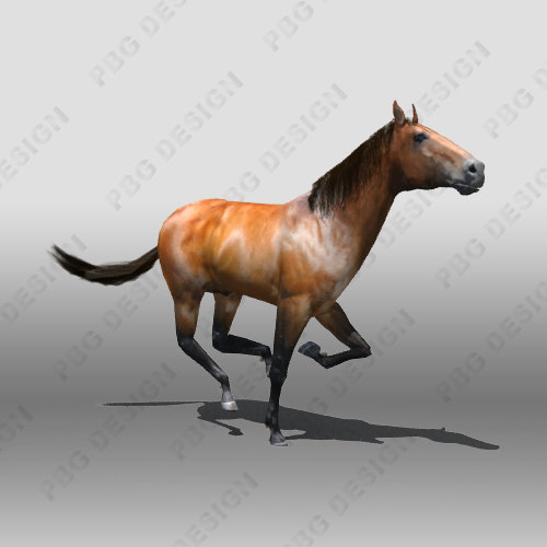 horse animations max
