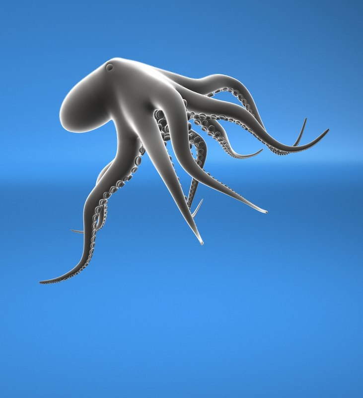 octopus octopoda 3d lwo