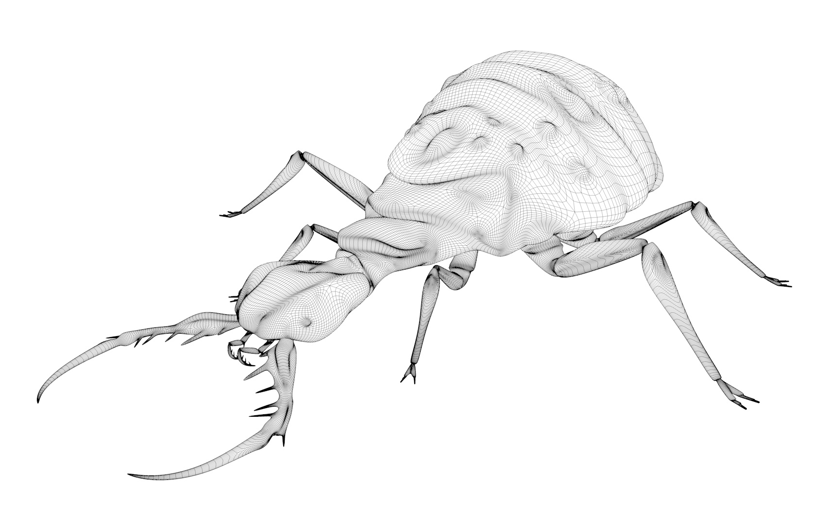 antlion 3d model
