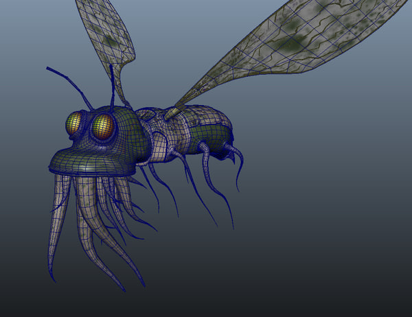 3d bug model