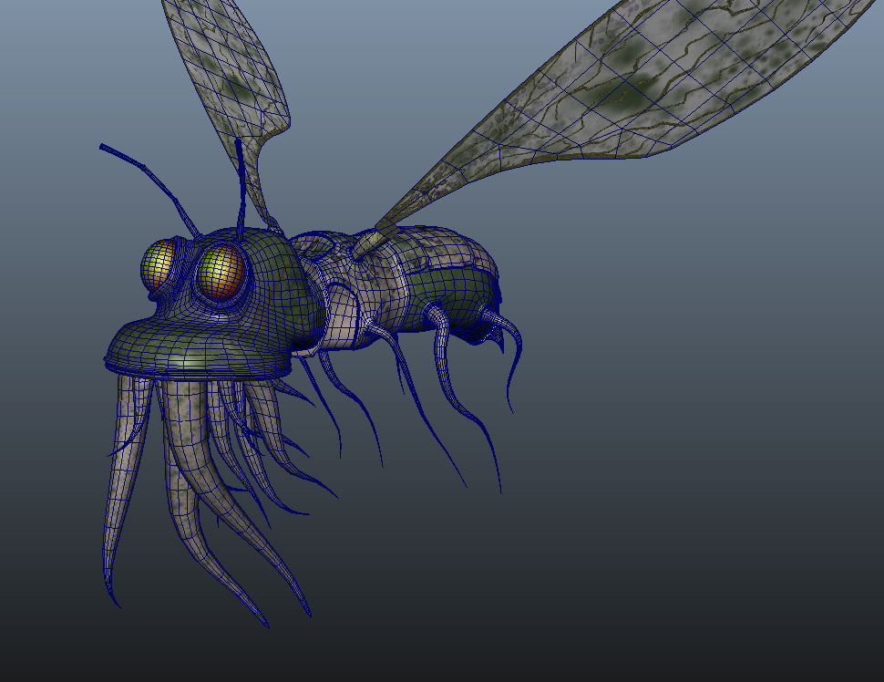 3d bug model