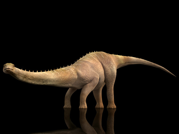 lodocus animation max